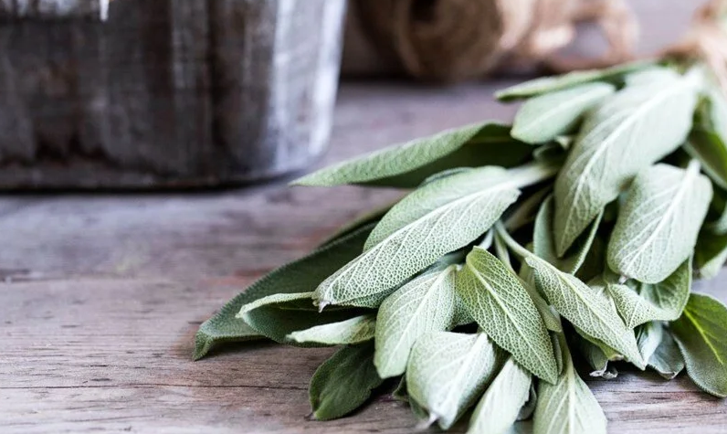 Faydalarını duyunca çok şaşıracaksınız! Ada çayının faydaları nelerdir ...