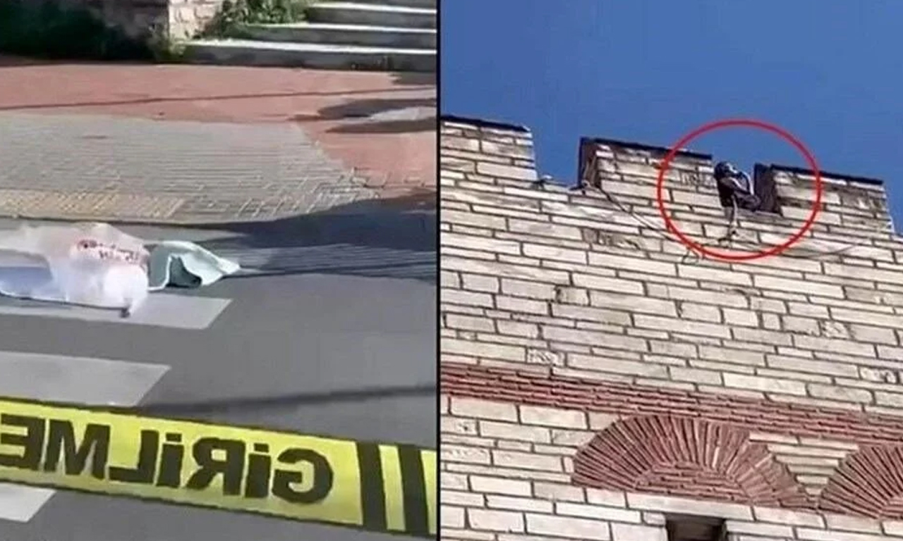 Sur canisinin ailesinden şok açıklama! Mahkemeye başvurdular: Can ...