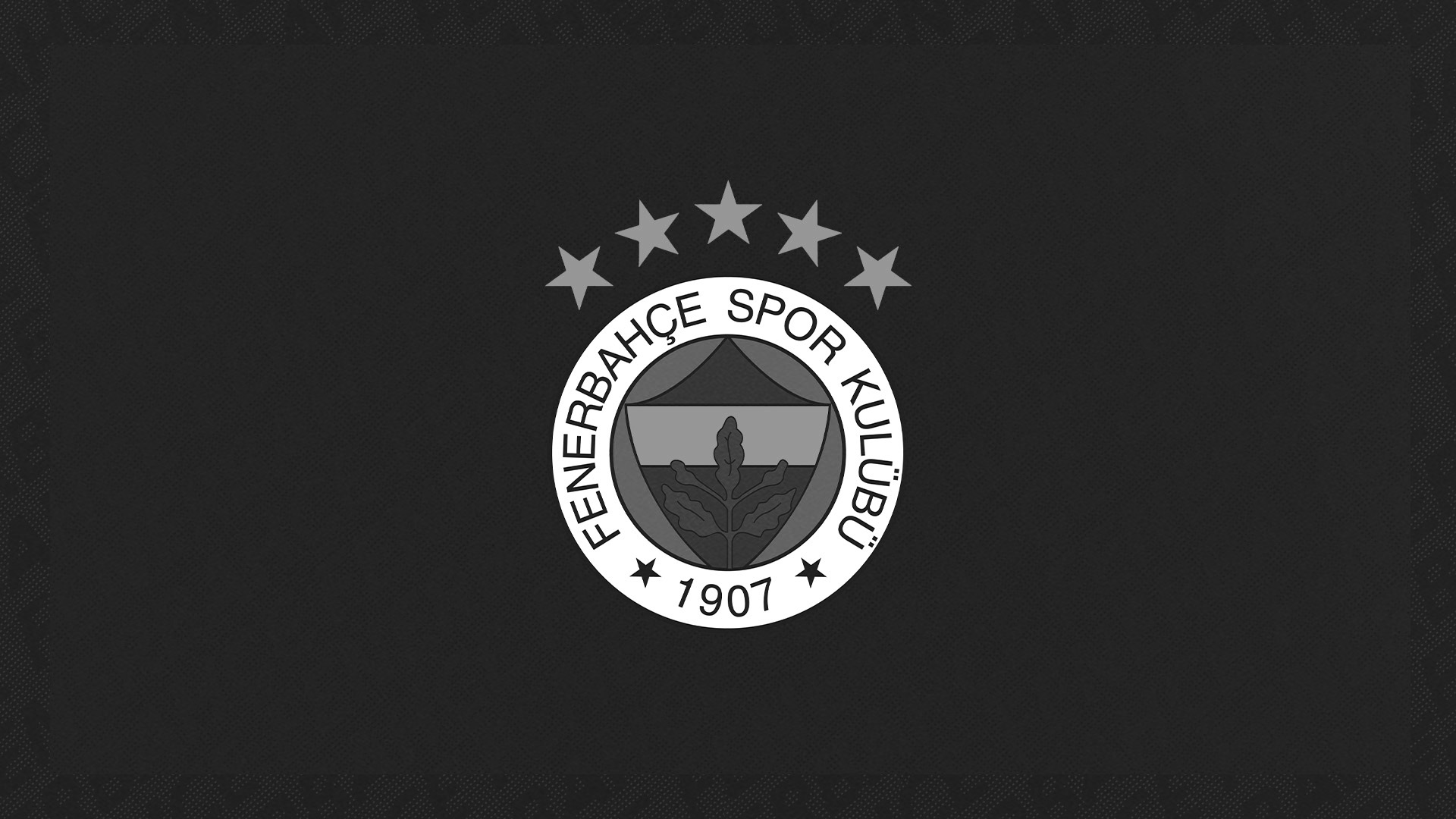 Vedia Nil Apak kimdir? Fenerbahçeli sporcu Vedia Nil Apak'ın annesi ...