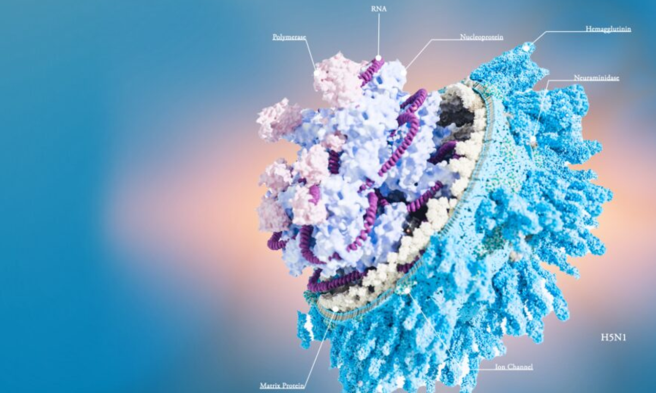 ABD'den korkutan haber geldi: Pandemi kapıya dayandı! - TRHaber