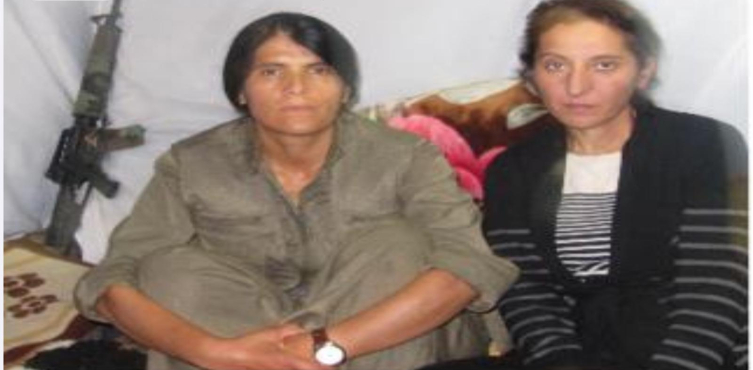 Elif Gül kimdir? CHP'li Meclis Üyesi Elif Gül nereli, evli mi? - TRHaber