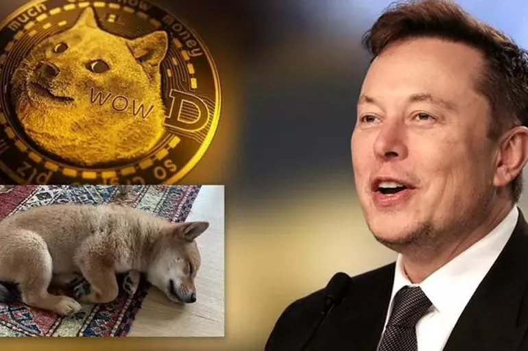 Elon Musk'ın dilinden düşürmediği Floki Coin nedir, nasıl alınır? - TRHaber