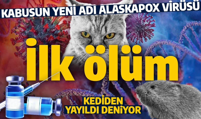 Kabus koronavirüs gibi yayılır mı? Yetkililer açıkladı: Alaskapox'tan ...