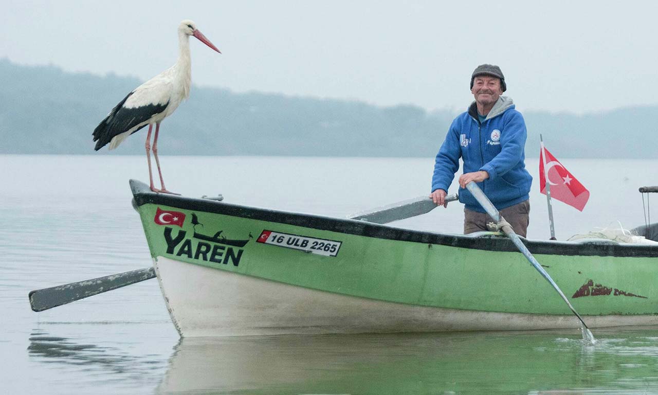 14 Mart Yaren Leylek geldi mi? Yaren Leylek Youtube canlı takip et ...