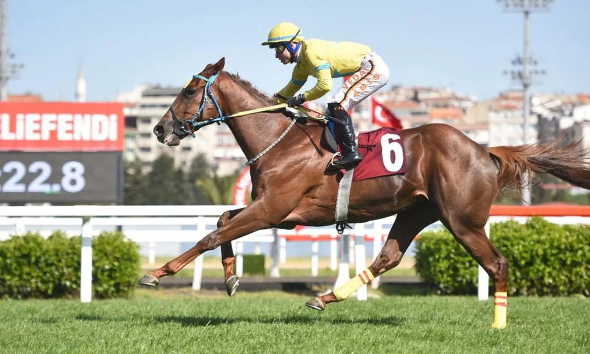 Special Man sahibi Melih Temel kimdir? Antrenörü Mehmet Altunbaş kim, nereli? - TRHaber